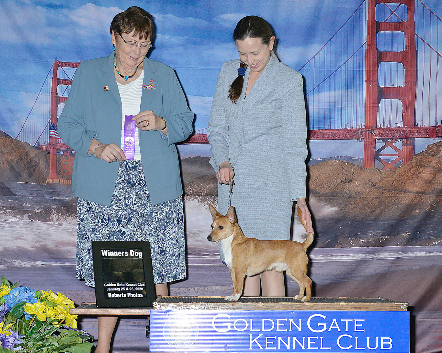 Reference Sires – Averson