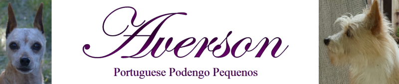 Contact Us – Averson